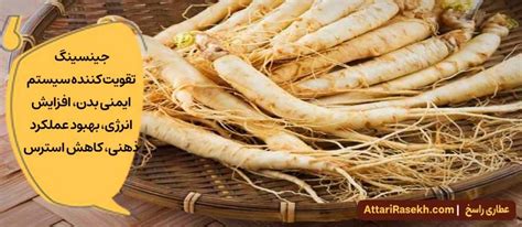 جینسینگ چیست؟ ترکیبات و خاصیت ها عطاری راسخ