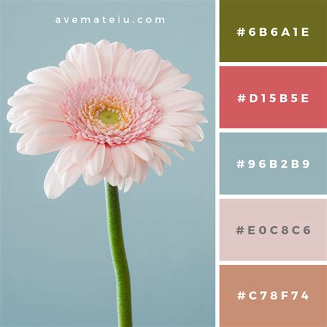 Pink Gerbera Up Close Color Palette 189 Color Combination Color