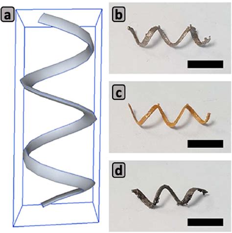 A Cad Schematic Representation Of A Helical Stainless Steel Download Scientific Diagram