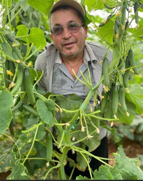 Serpil Çelİk Posted On Linkedin