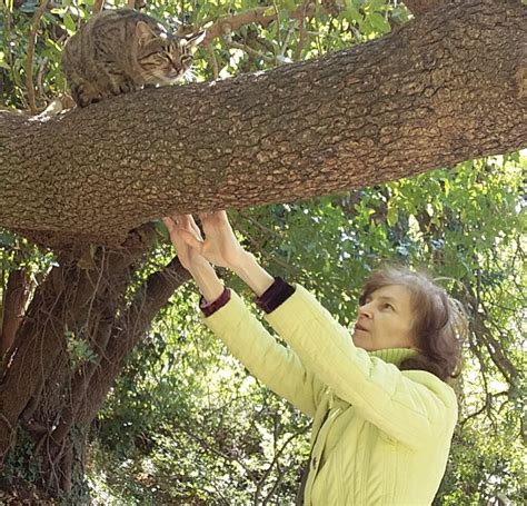 Как поднять настроение Спектр эмоций