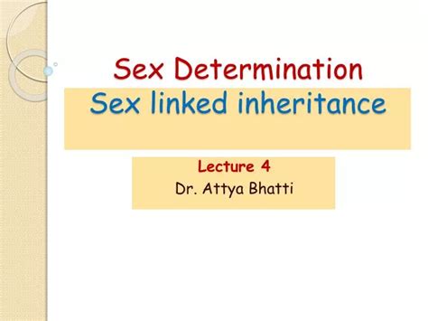 Ppt Sex Determination Sex Linked Inheritance Powerpoint Presentation
