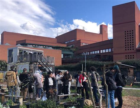 Msc Building And Urban Design In Development On Linkedin Care Urbandesign Participation