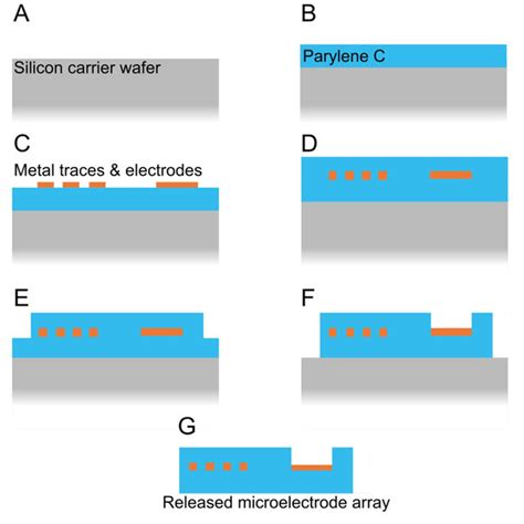 Photographs Of Polymer Microelectrode Arrays Manufactured By The Pie