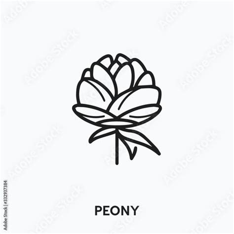 Peony Icon Vector Symbol Illustration