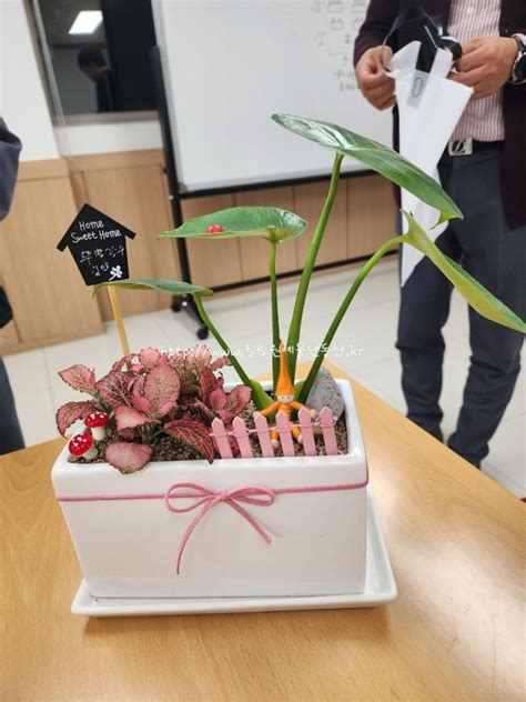 영주 안동 예천 풍기 봉화 강원도 태백 원주 종합사회복지관 새터민 북한이탈주민 자조모임 자립지원 원예 테라피 활동 프로그램