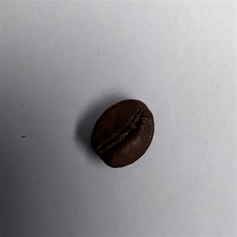 Coffee Bean Object Detection Object Detection Dataset By Brewlens