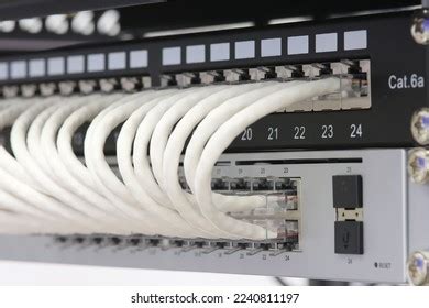 Connecting Ethernet Switch Using Patch Cords Stock Photo Shutterstock
