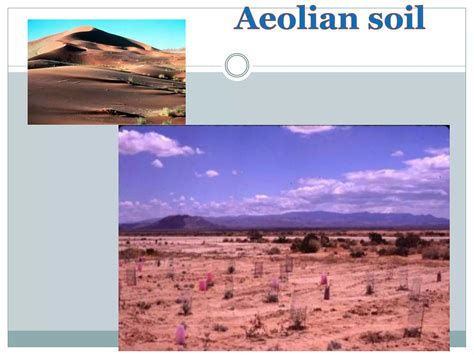 Soil Type And Their Characteristic Pptx