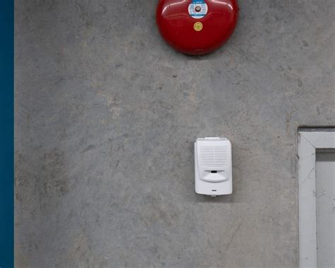 Unlock Voice Paging In Microsoft Teams Algo Communication Products Ltd