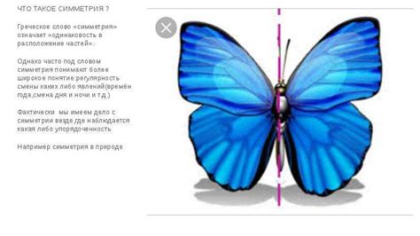 Ось симметрии 5 класс презентация доклад проект скачать