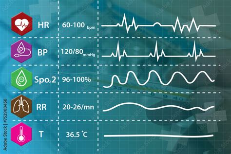 Pulse Linepulse Line Icon Vital Signs 5 Basic Medical Vital Signs Vital Signs Monitoring