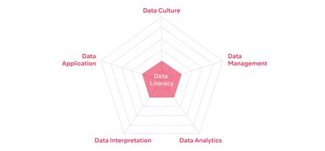 Data Literacy The Most Important Skill For Digital Companies Comma