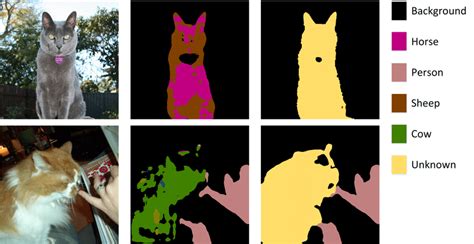 examples of open set semantic segmentation left column input images