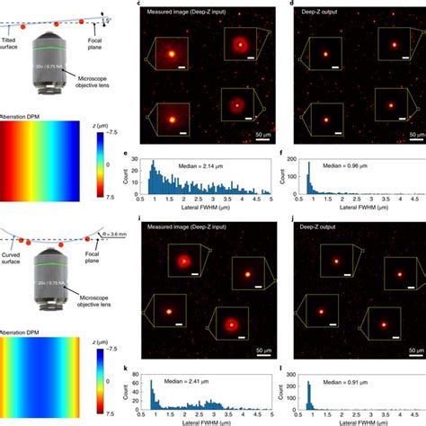 Deep Z Cross Modality Digital Refocusing Of Fluorescence Images Ac