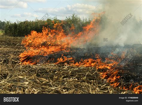 Spring Fire Burning Image And Photo Free Trial Bigstock