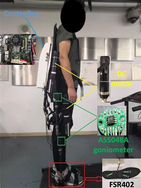 Figure 1 From Gait Phase Classification For A Lower Limb Exoskeleton System Based On A Graph