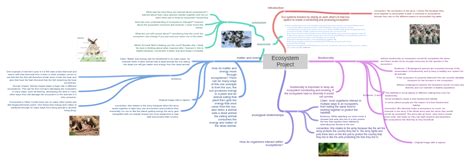 Ecosystem Project If The Ecosystem Is Properly Balenced This Can