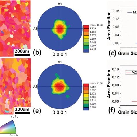 The Microstructure Of Hot Rolled Polycrystalline Az31 And Pure Mg After
