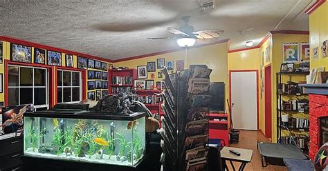 Im Getting Tired Of The Yellow And Red But Still Want Bright And Fun