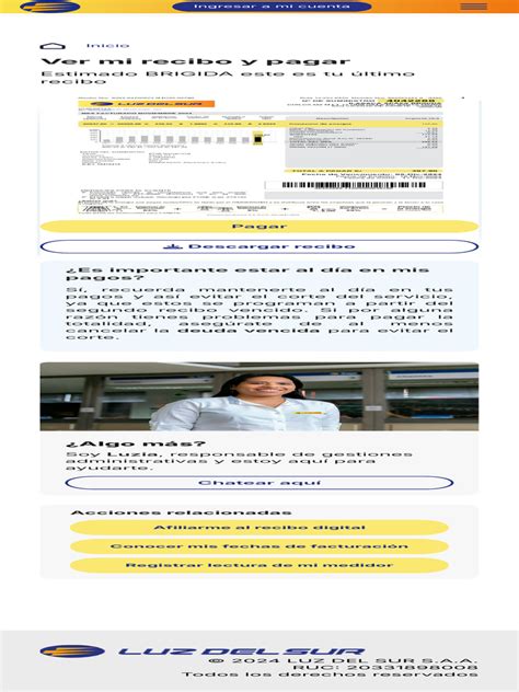 Consulta Y Pago De Recibo Luz Del Sur Pdf