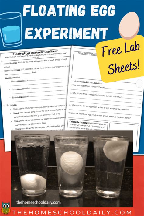 Floating Egg Experiment The Homeschool Daily