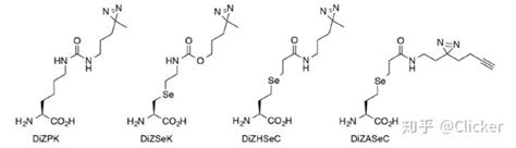 Chembio In China 北京大学陈鹏课题组 知乎