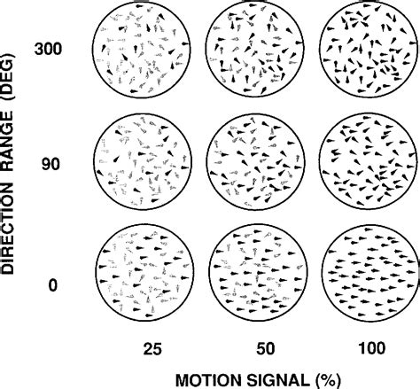 Figure 1 From The Role Of Directionally Selective Neurons In The