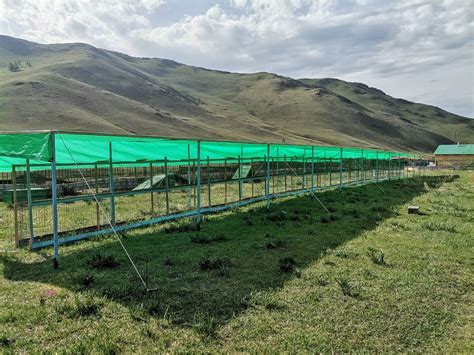 Undug Mn Өндөг мн Home