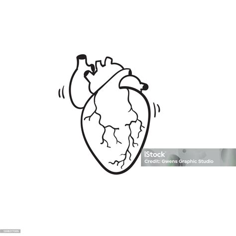 손으로 그린 벡터 고립 인간의 마음 정맥 시스템으로 해부학적으로 올바른 심장낙서 심장이식에 대한 스톡 벡터 아트 및 기타 이미지