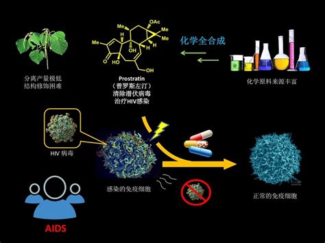 前沿院李鹏飞课题组在天然产物全合成方面取得重要进展 西安交通大学前沿科学技术研究院
