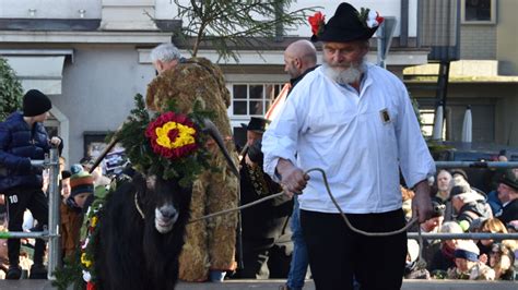 Wurde Kari Hediger Vom Geissbock Abgelenkt Freier Schweizer
