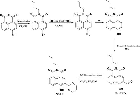 A Naphthalimide‐based Fluorescent Probe For The Detection And Imaging Of Mercury Ions In Living