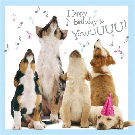 Imágenes Divertidas De Perros De Cumpleaños Tarjeta De Cumpleaños
