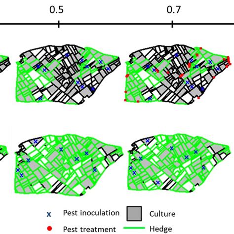 Two Simulation Examples By Row Illustrating The Spatio‐temporal Pest