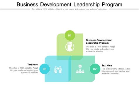 Business Development Leadership Program Ppt Powerpoint Presentation Layouts