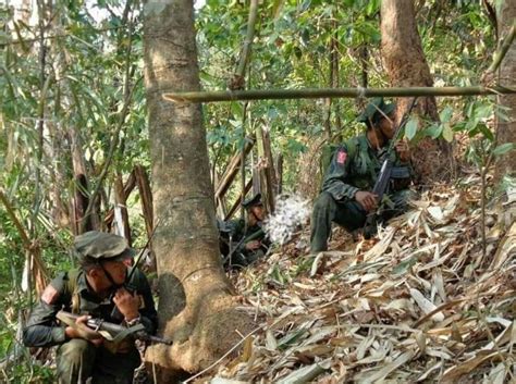 ရွှေညောင်ပင်မှာ တိုက်ပွဲပြင်းထန်နေ May Kachin News Group