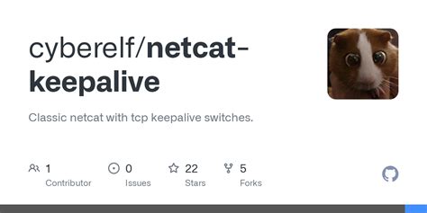 Github Cyberelfnetcat Keepalive Classic Netcat With Tcp Keepalive