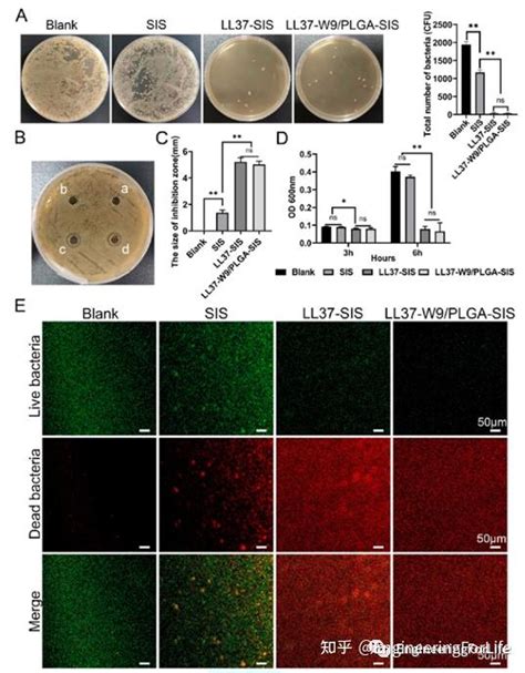 《acs Ami》：微球 凝胶复合的双重释放体系用于骨缺损的治疗 知乎