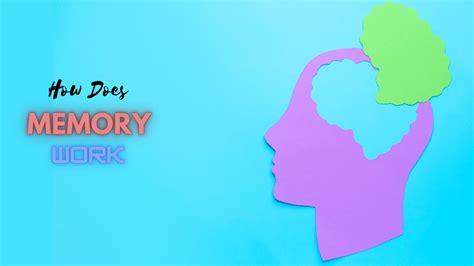 The Science Of Memory How Our Brains Encode Store And Retrieve