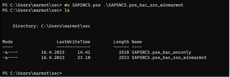 Snc Encryption And Sso For Sapgui On Windows 11 Vi Sap Community