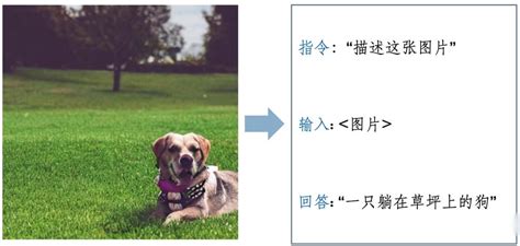 「多模态llm」最新介绍！数据、论文集直接打包带走 知乎