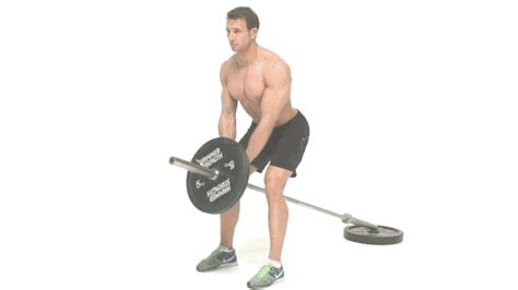 T Bar Rows Form Muscles Worked Benefits And Variations Squatwolf Au
