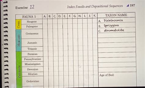 Exercise 12 Index Fossils And Depositional Sequences