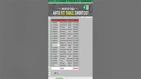 How To Autofit Columns And Rows In Excel Fit Data Into Excel Excel Malayalam Youtube