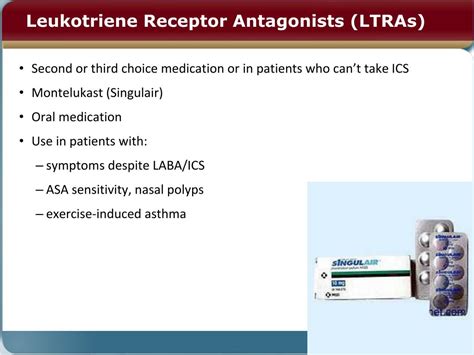 Ppt Back To Basics Review Respirology In Under Two Hours Powerpoint Presentation Id 3299186