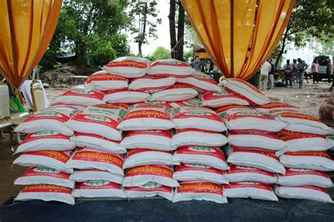 នាយឧត្តមសេនីយ៍ ហ៉ីង ប៊ុនហៀង៖ ការដាំដើមឈើឡើងវិញនៅភ្នំតាម៉ៅ សម្រេចប្រមាណ៨៨ភាគរយ