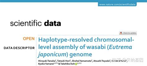 文献解读 Scientific Data期刊发表基于单倍型基因组组装揭示山葵染色体水平的相关研究成果 知乎