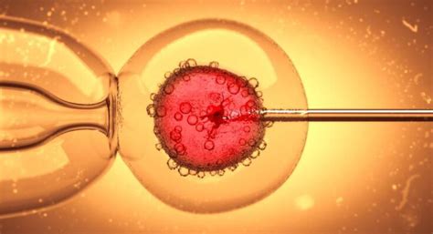 Microinjection What It Is And Its Applications In Science