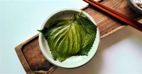 깻잎장아찌 간장깻잎절임 쉽고 간단한 간장 깻잎지